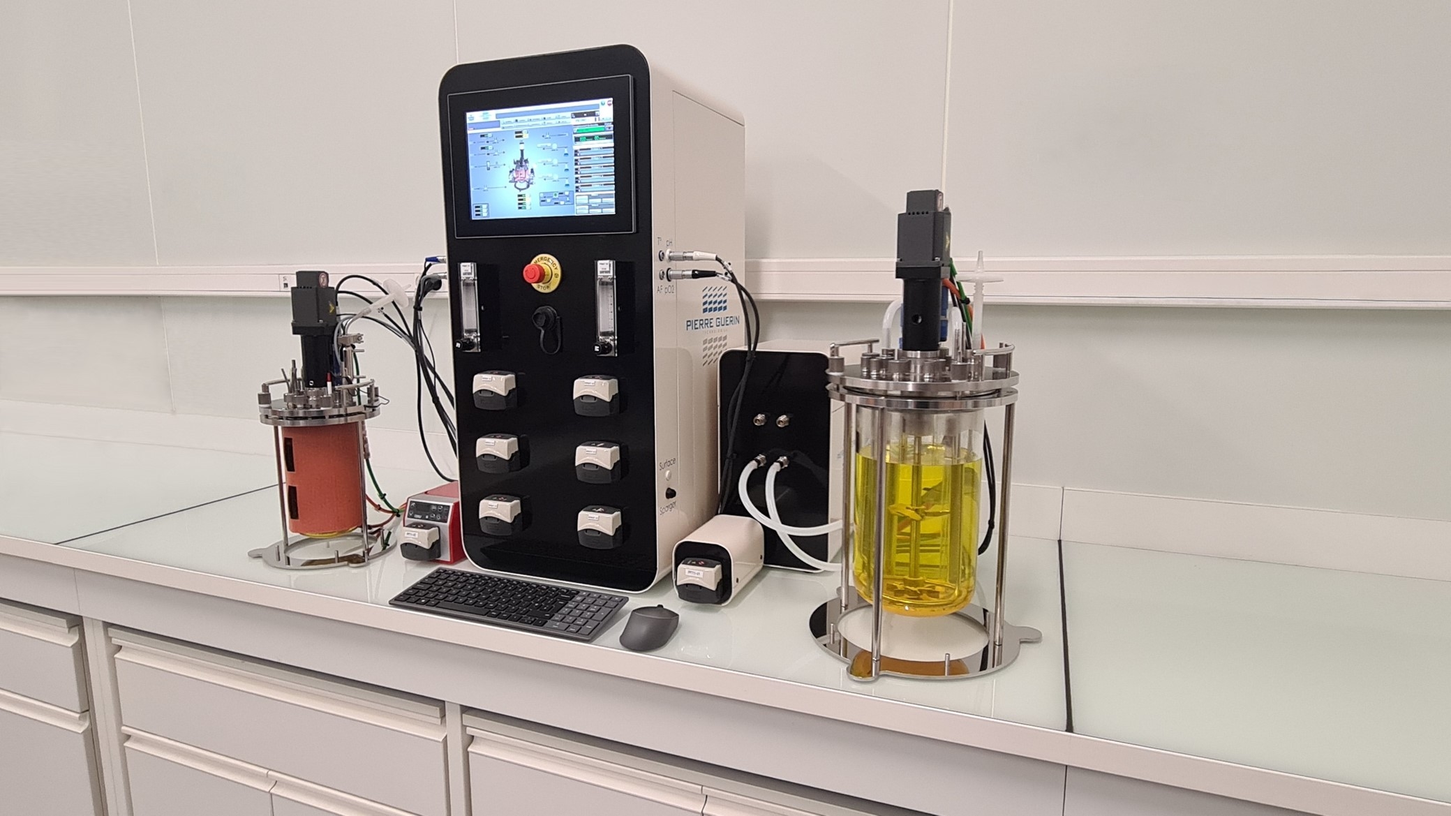 Avancées techniques dans la fermentation microbienne pour la production ...